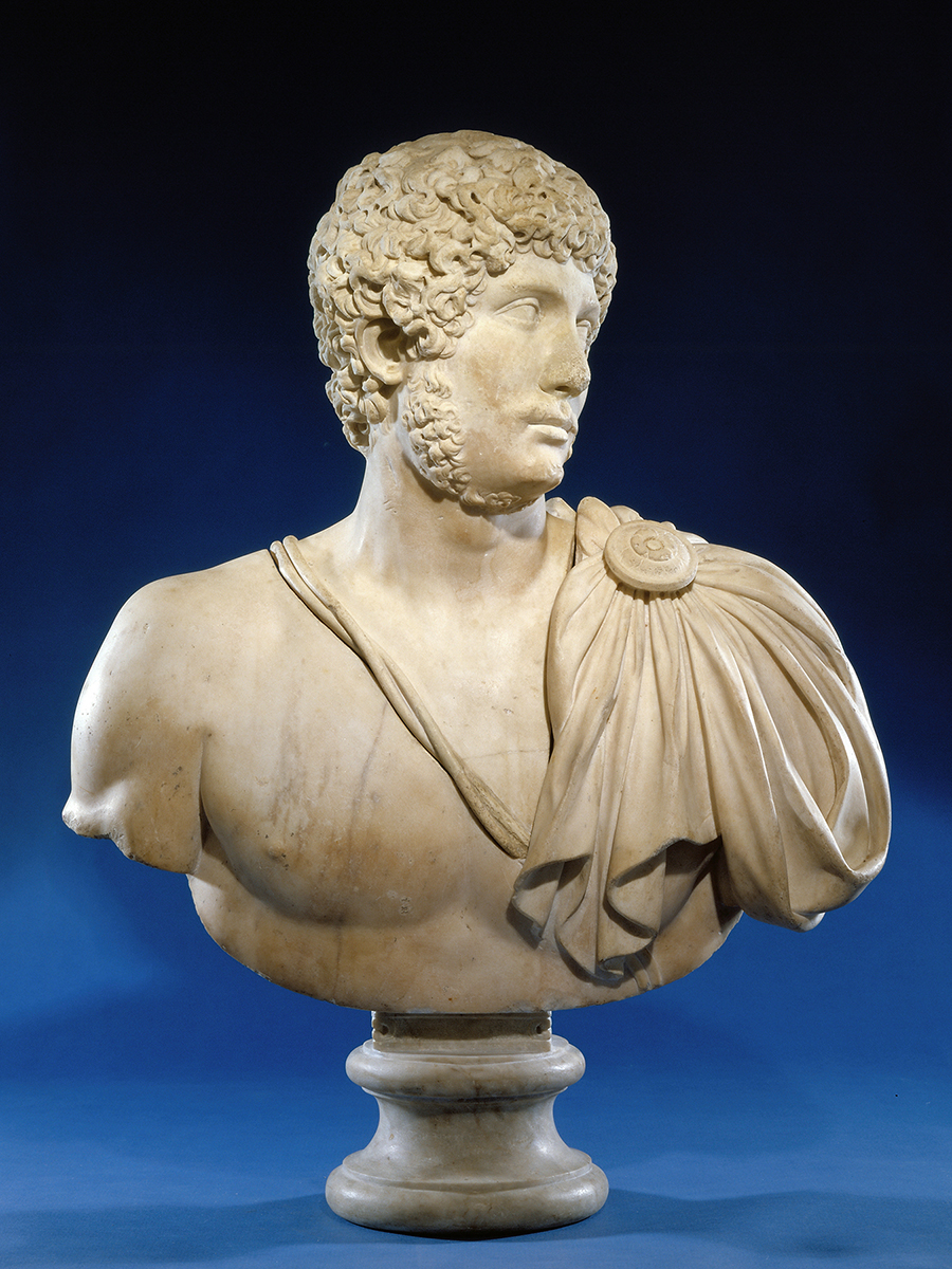 Portrait Bust of the Emperor Hadrian | Museum of Art and Archaeology
